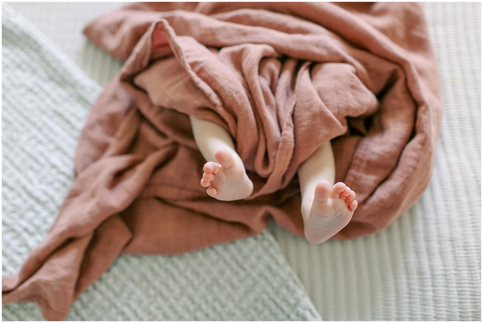 Charlotte Newborn Photographer | Baby Elle | cheyenneschultzphotography.com